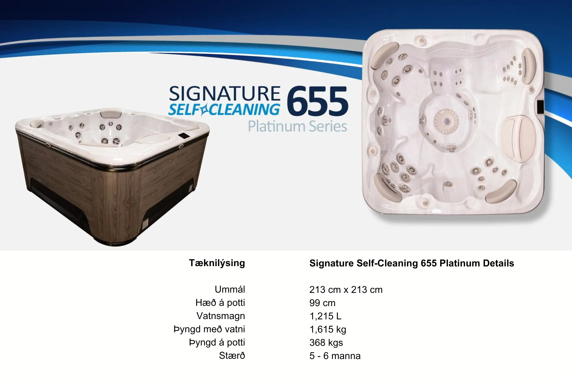Hydropool model 655 Platinum 6 manna rafmagnspottur – Sauna.is